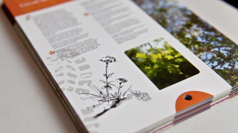 Création d'un topo-guide randonnée – Kiwimage